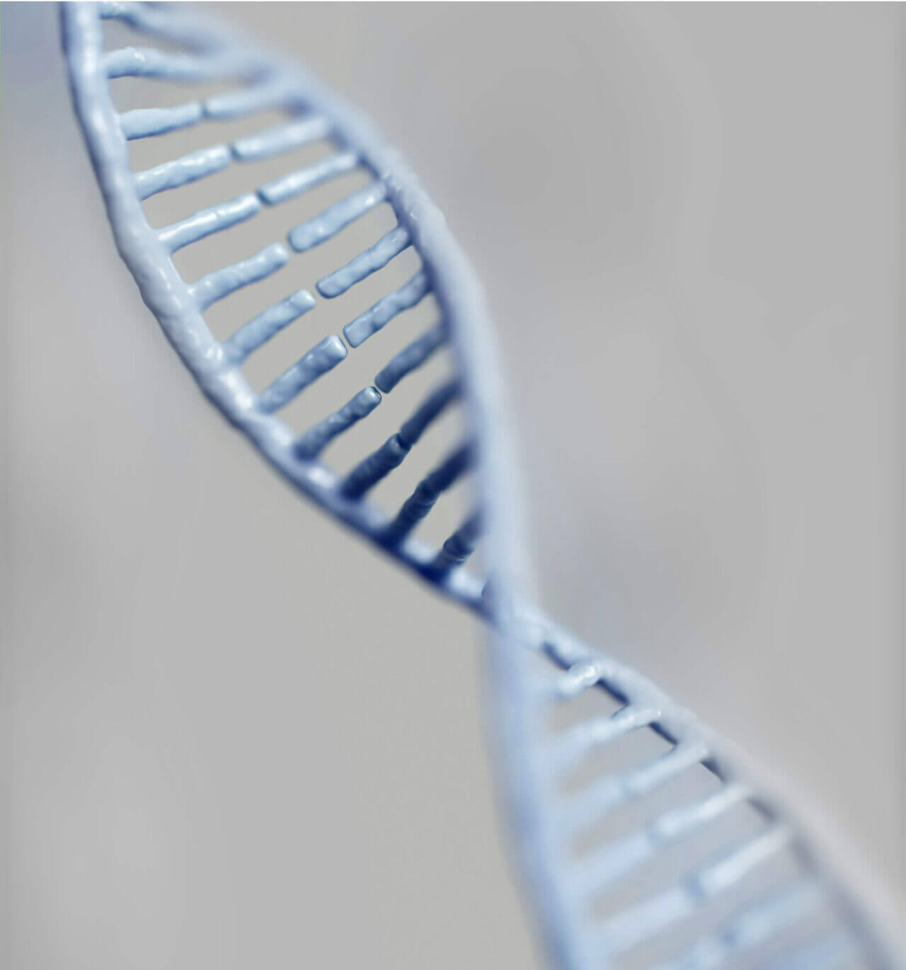 Oligo Manufacturing - Tedia